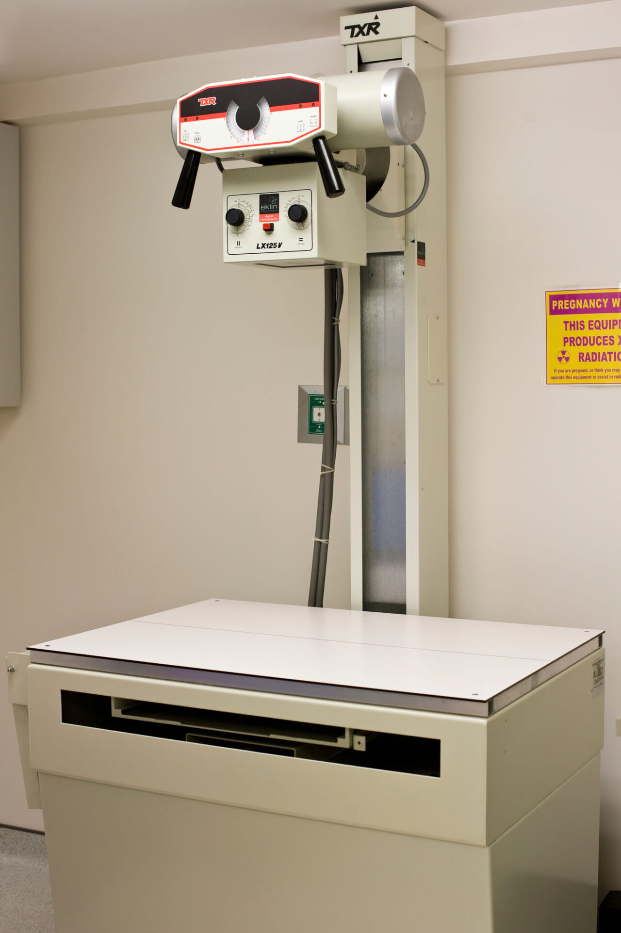 Cat Digital X-Rays In West Hartford, CT | Cats Limited Vet